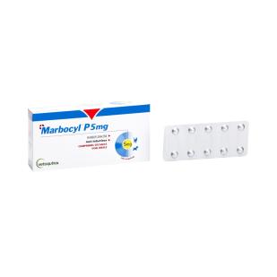 Marbocyl® P 80 mg | Vetoquinol
