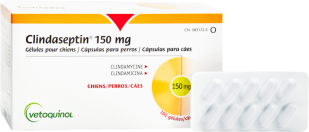 Clindaseptin® 25 mg/ml solution buvable | Vetoquinol