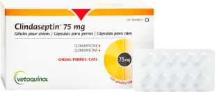Clindaseptin® 25 mg/ml solution buvable | Vetoquinol
