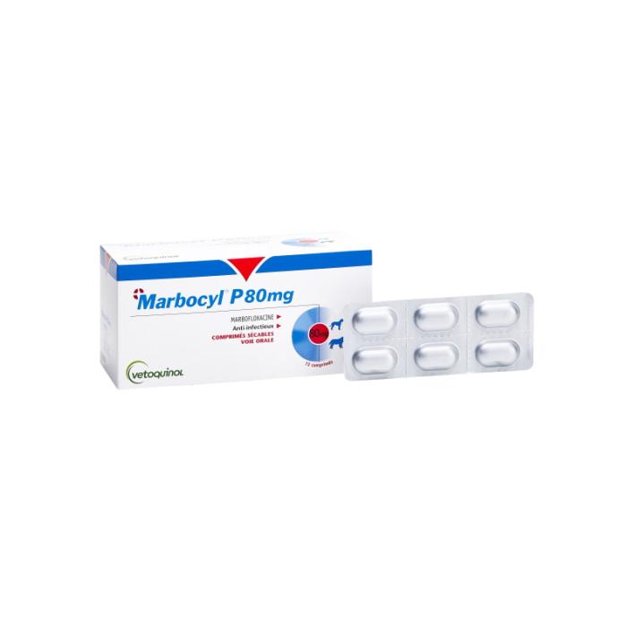 Marbocyl® P 80 mg | Vetoquinol